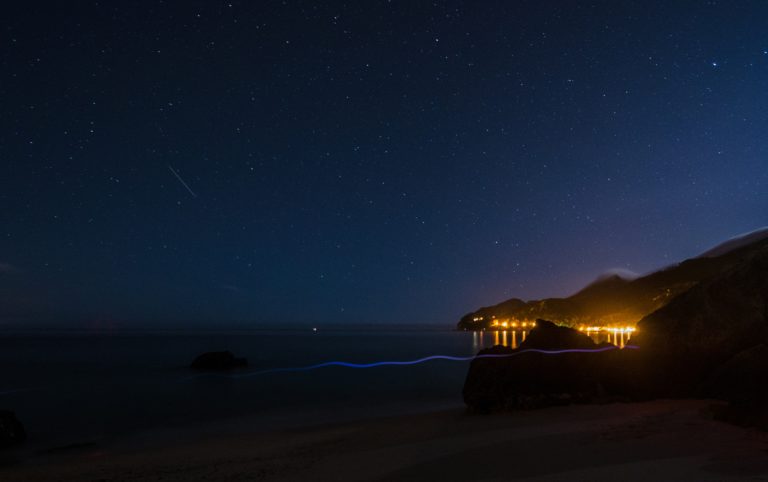 Starseed Child | Indigo Test For Children & Adults